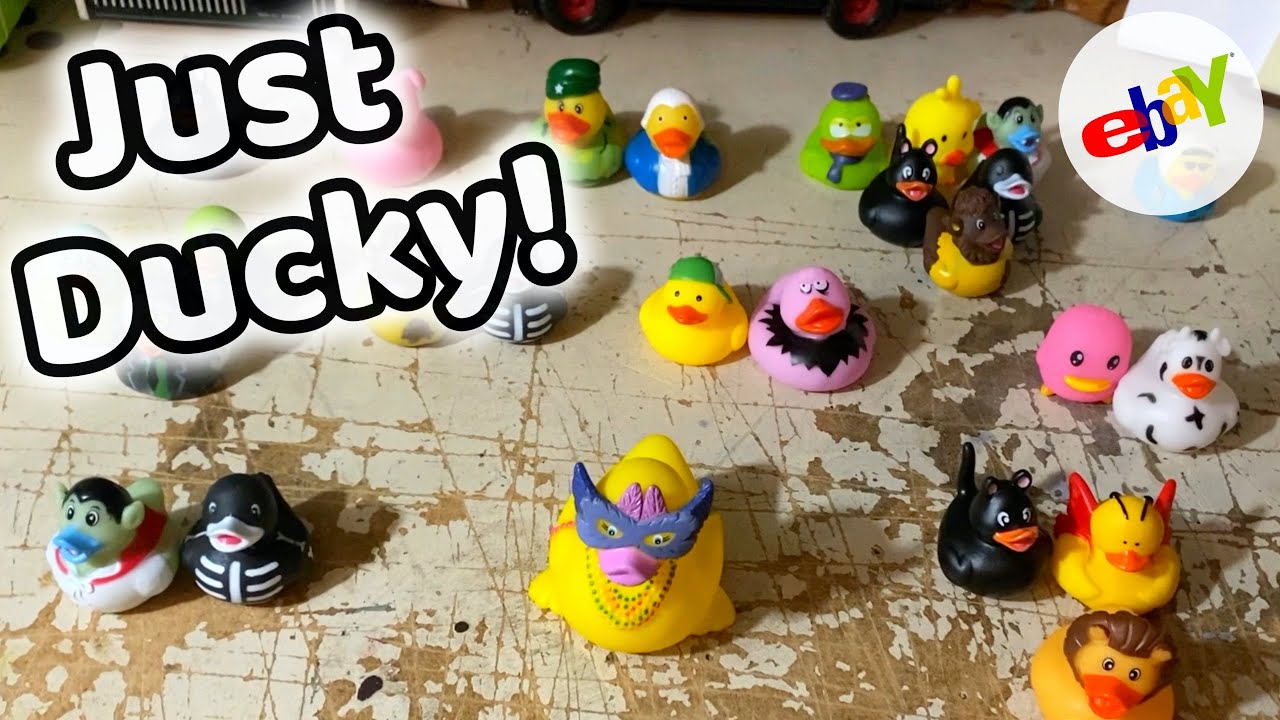 CHANNEL VIEWERS ARE GETTING THEIR DUCKS IN A ROW! - YouTube