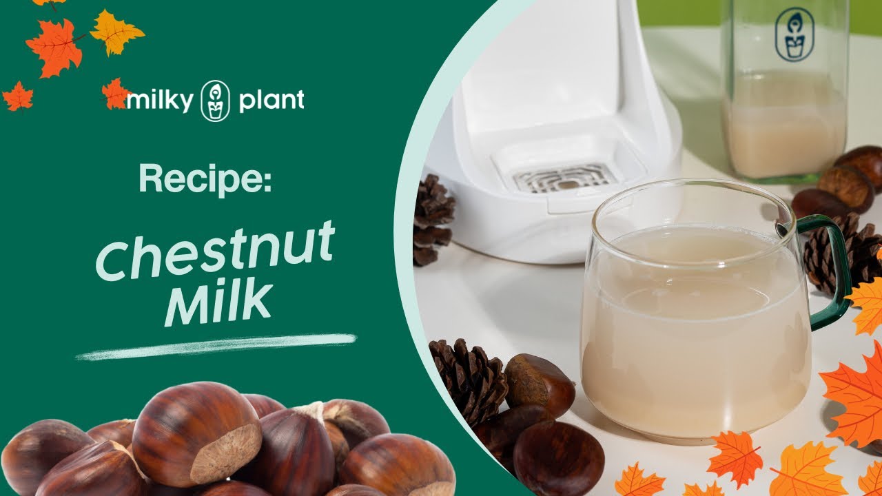 How to Make Delicious Homemade Chestnut Milk Recipe | Easy & Nutty 🌰 ...