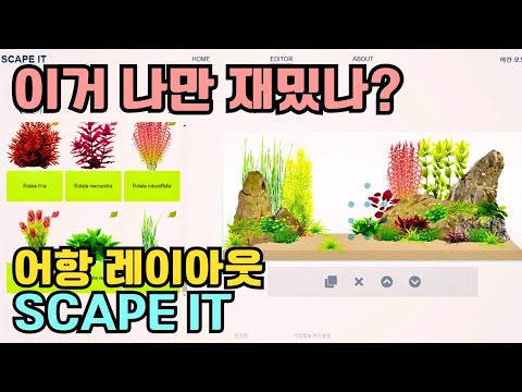 물생활 도우미(수조 레이아웃 - scape it) - YouTube