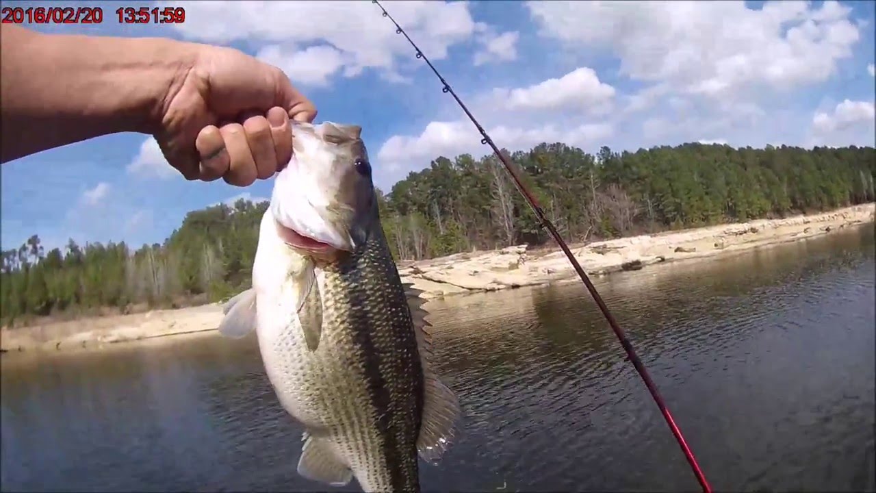 Fishing Sabine River & Ft Polk - YouTube