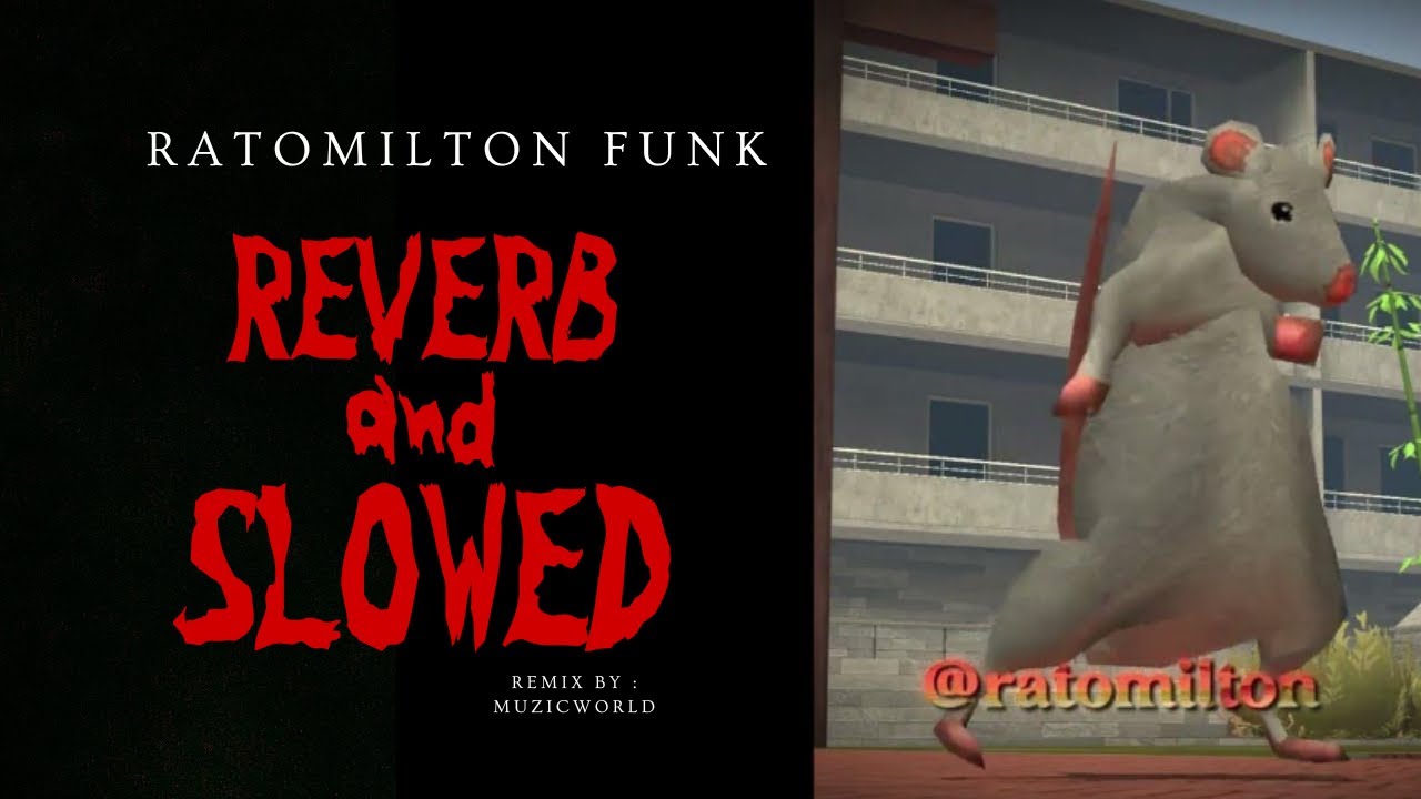 FUNKY RATO - [RATOMILTON FUNK] | slowed and reverb [Brazilian funk ...