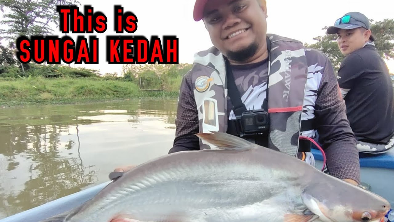 MAMA TOMAN Sungai Kedah Bahagian 2 || Racun Rod Terbaru TeamSeahawk ...