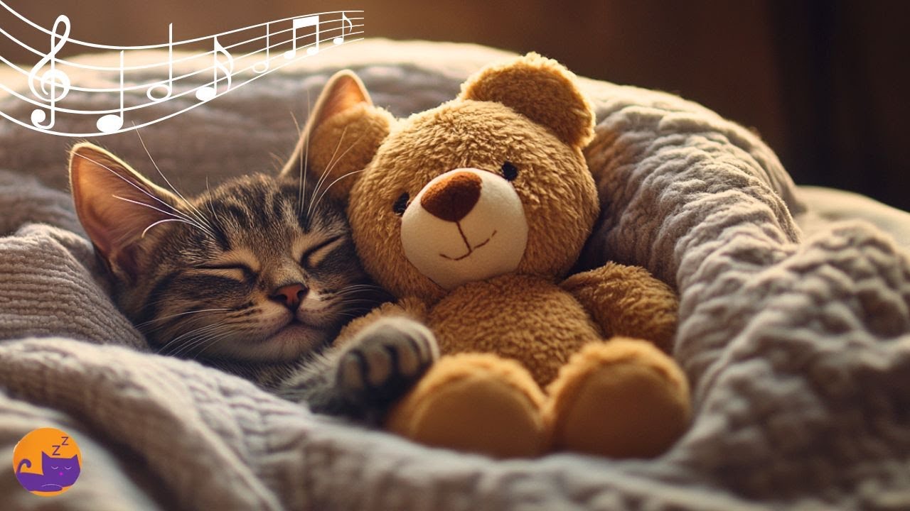 17 HOURS of Healing Cat Music to Cure Anxiety, Stress and Aggression 💤 ...