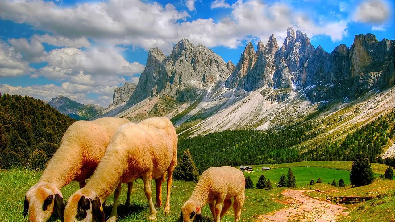 Mountain ⛰ Farm 🐑 Ambience | Relaxing Nature Sounds with Soothing Wind ...