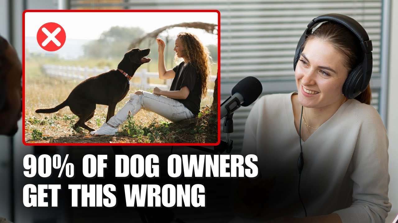 Scientists Reveal How Dogs Actually Process Human Communication - YouTube