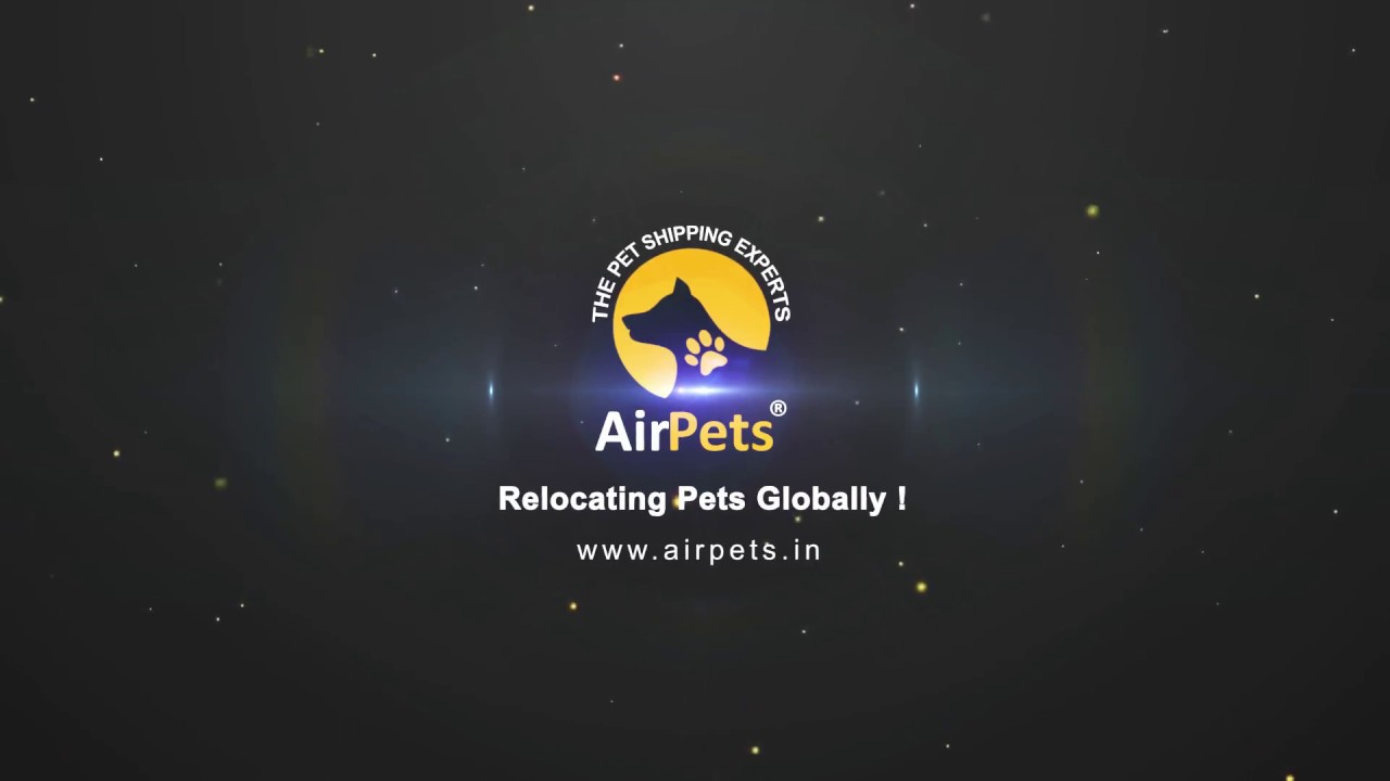 AirPets Relocation Services Pvt. Ltd. - YouTube