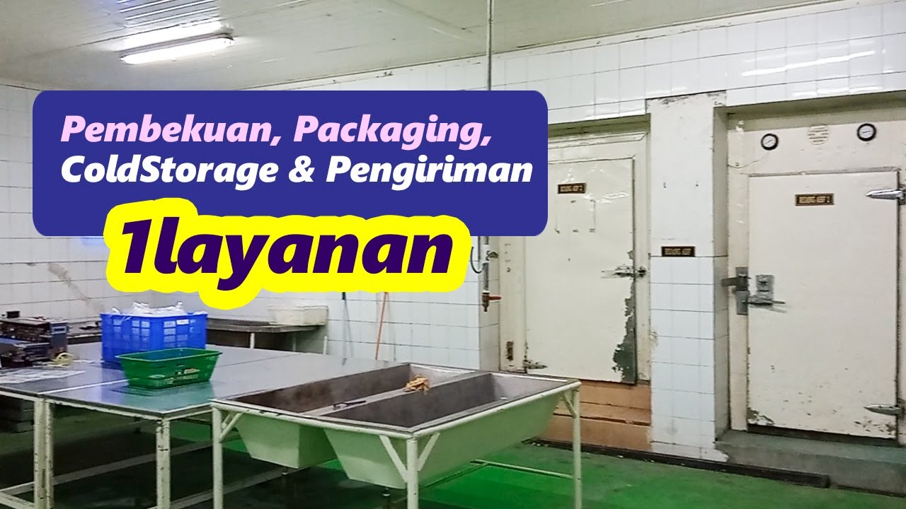 Gudang Cold Storage Fufillment : Packaging, Pembekuan ABF dan ...