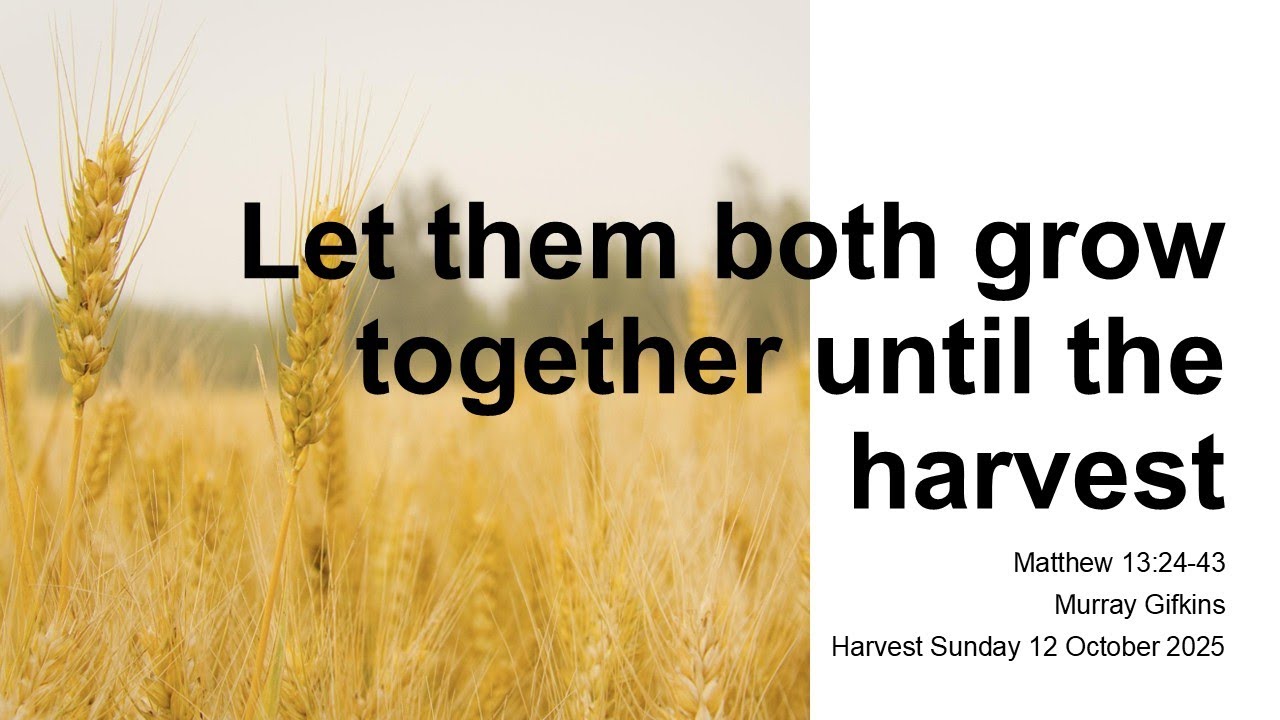 Let them both grow together until the harvest - YouTube