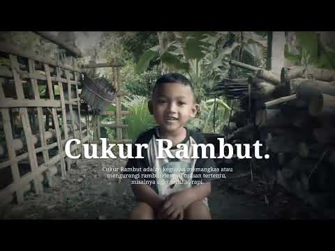 Story WA Lucu | Story WA Lucu Terbaru