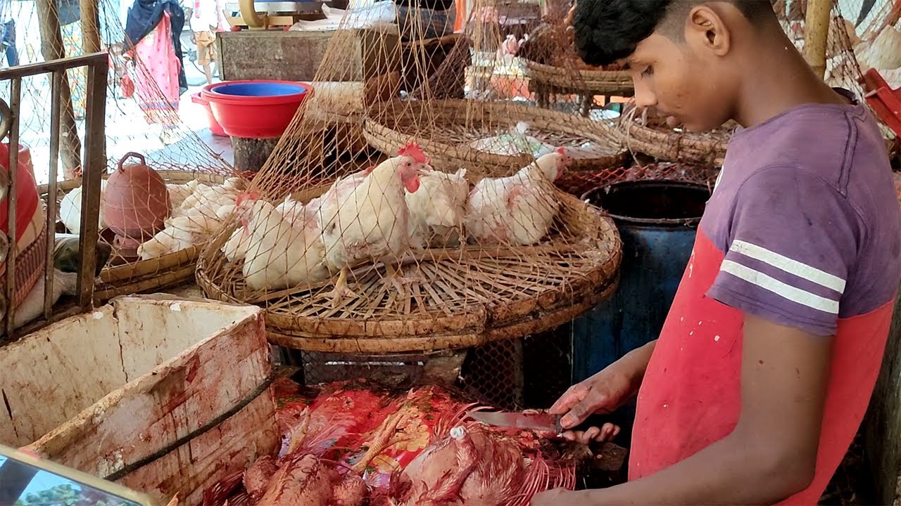 Professional Small Boy Chicken Cutter Live Chicken Cutting in Chicken ...