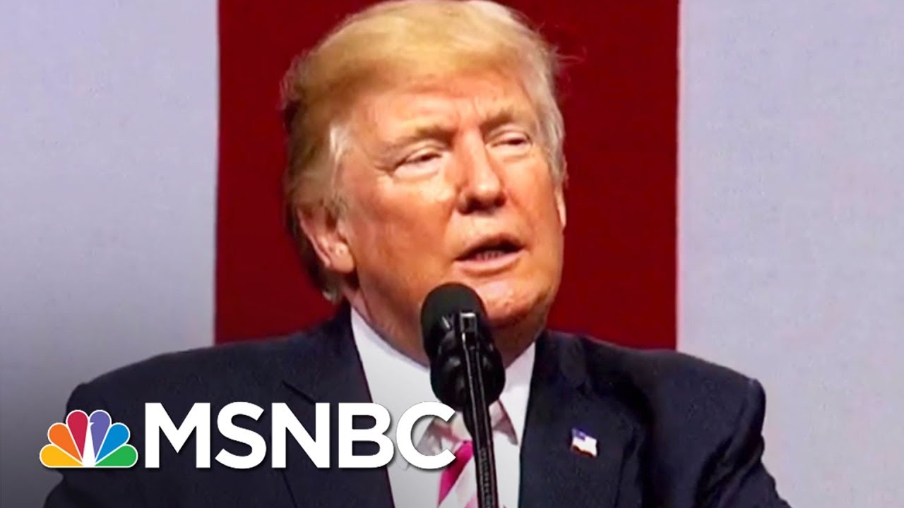 Top 10 Political Moments Of 2017 | MSNBC - YouTube