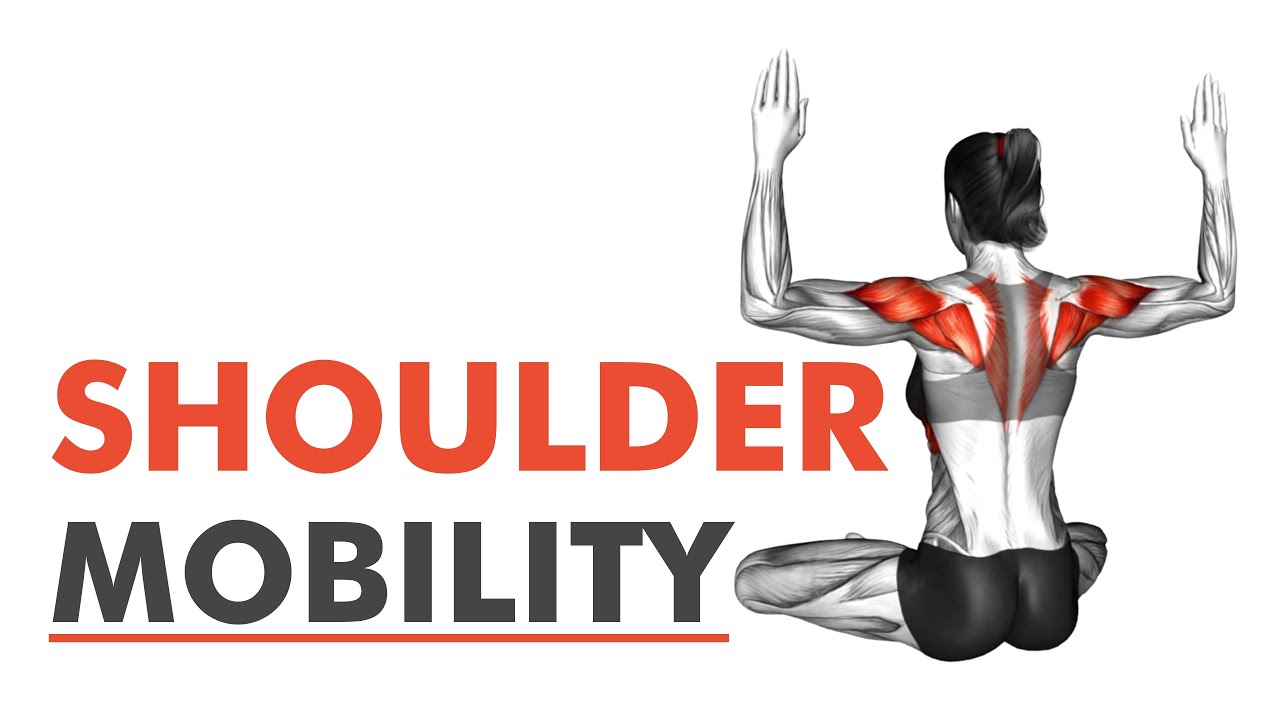 7 SHOULDER MOBILITY EXERCISES - Follow Along! | The Mobility Manual ...