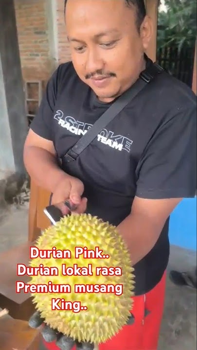 Durian Pink Durian Lokal rasa premium Musang king Mas durian #durian #masduren #kuliner - YouTube