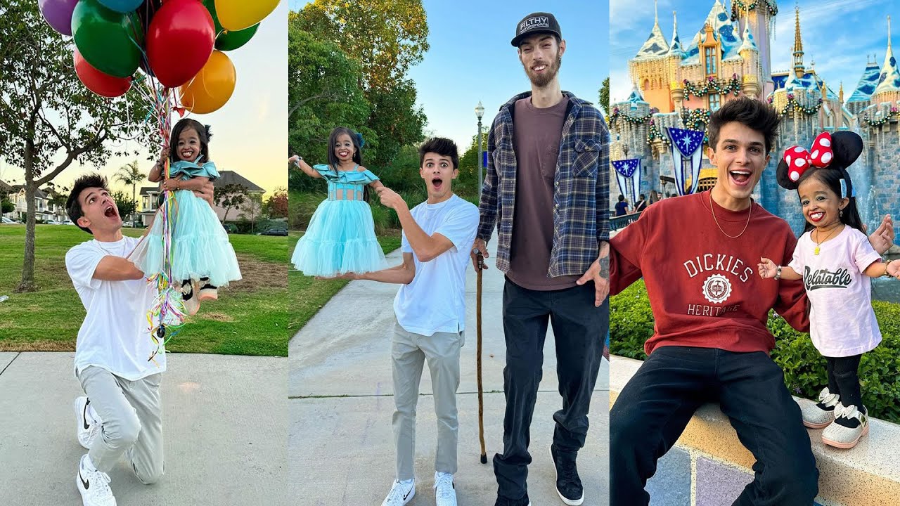 *1 Hour* The Most Viewed Videos of AMP World | Best of AMP World 2024 ...