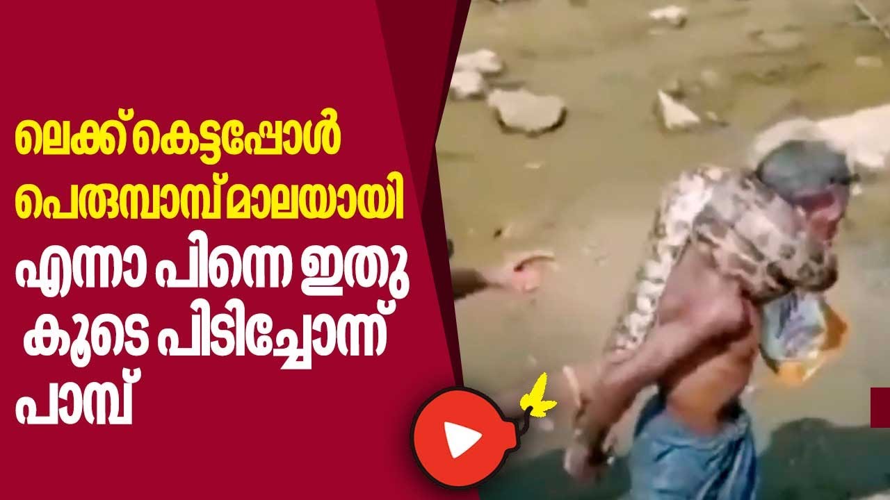 ലെക്ക് കെട്ടപ്പോള്‍ പെരുമ്പാമ്പ് മാലയായി എന്നാ പിന്നെ ഇതു കൂടെ 1775
