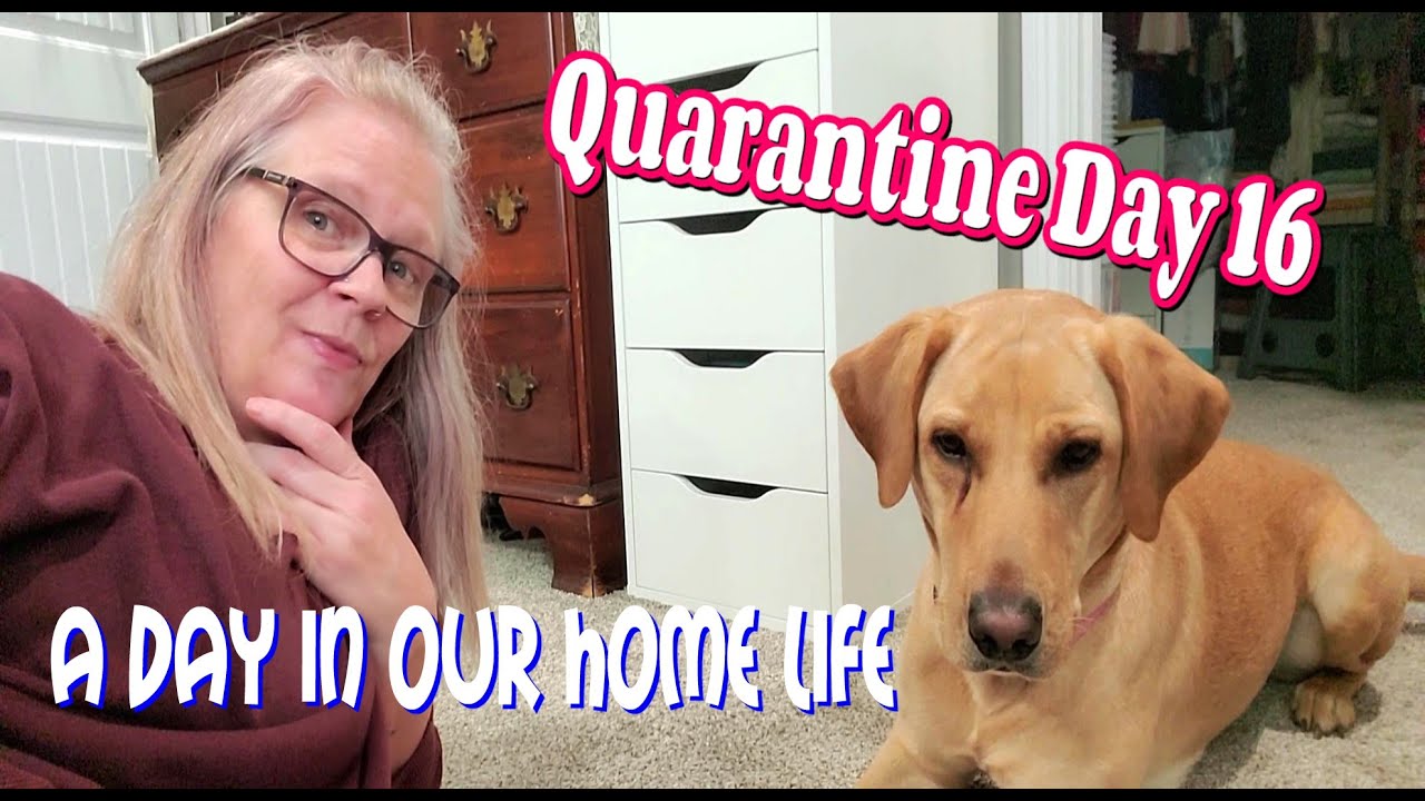 Quarantine Day 16 | What I'm Doing At Home - YouTube