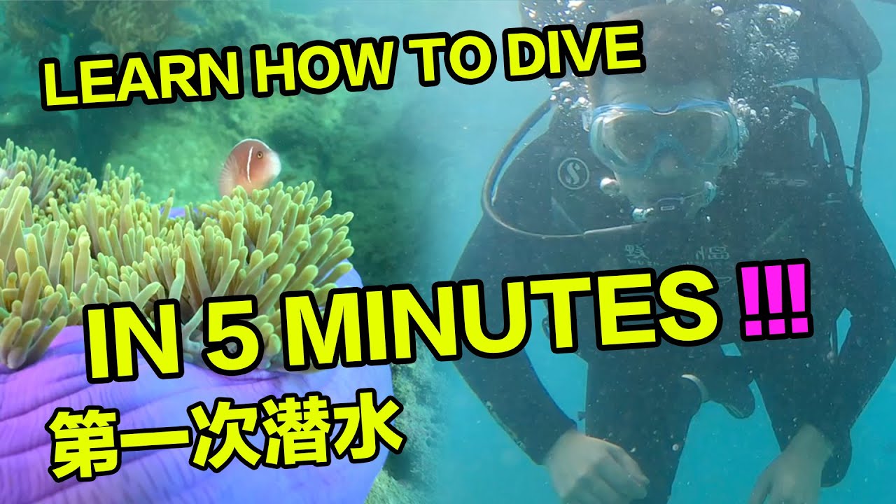 I Learn to Scuba Dive in UNDER 5 MINS (No Lessons) - YouTube