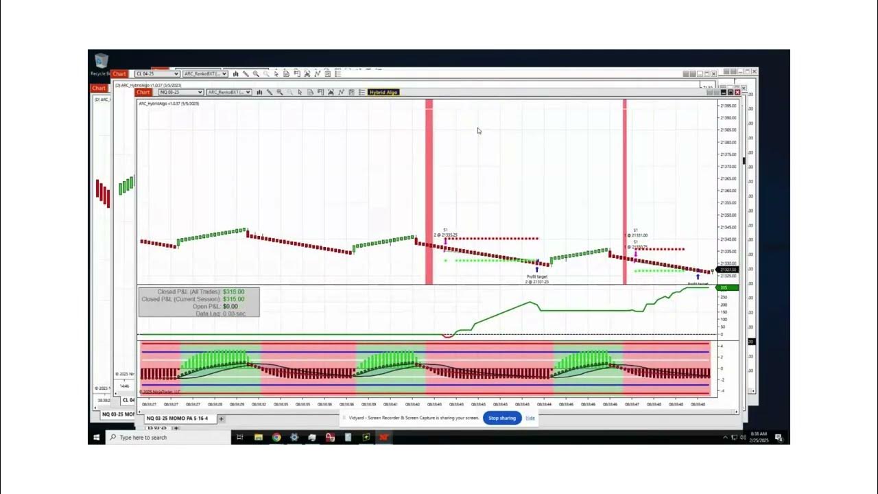 Millionaire Blueprint: 2025 Ninjatrader NQ Renko Automated Scalping Strategy! - YouTube