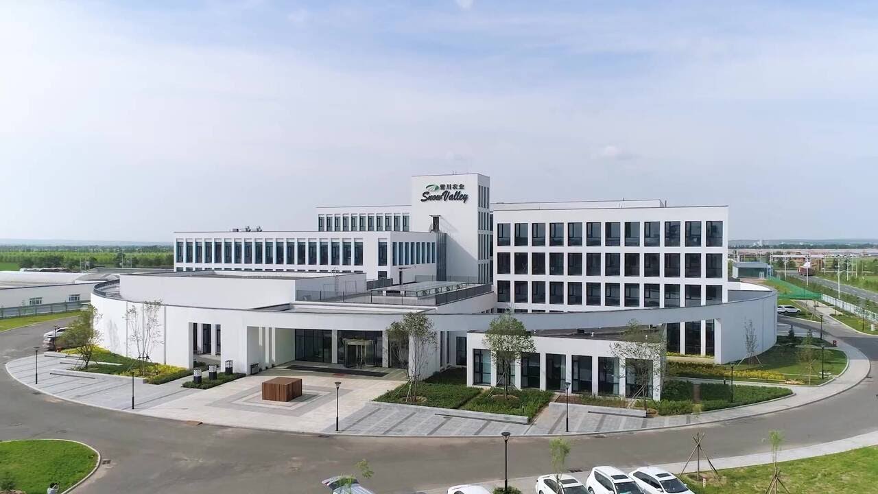 Customer Story - Snow Valley Group - Integrated Potato Solution - YouTube