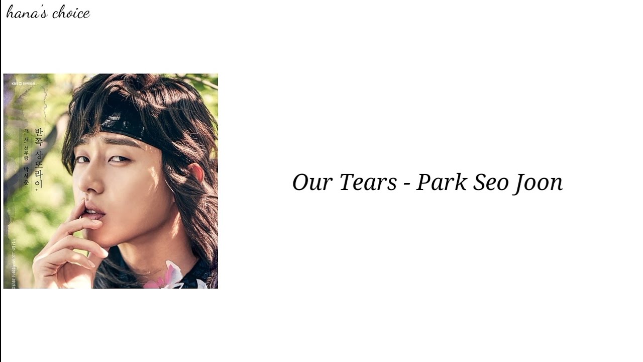 Park Seo Joon (박서준) – Our Tears (서로의 눈물이 되어 (선우 (Seonwoo Ver ...