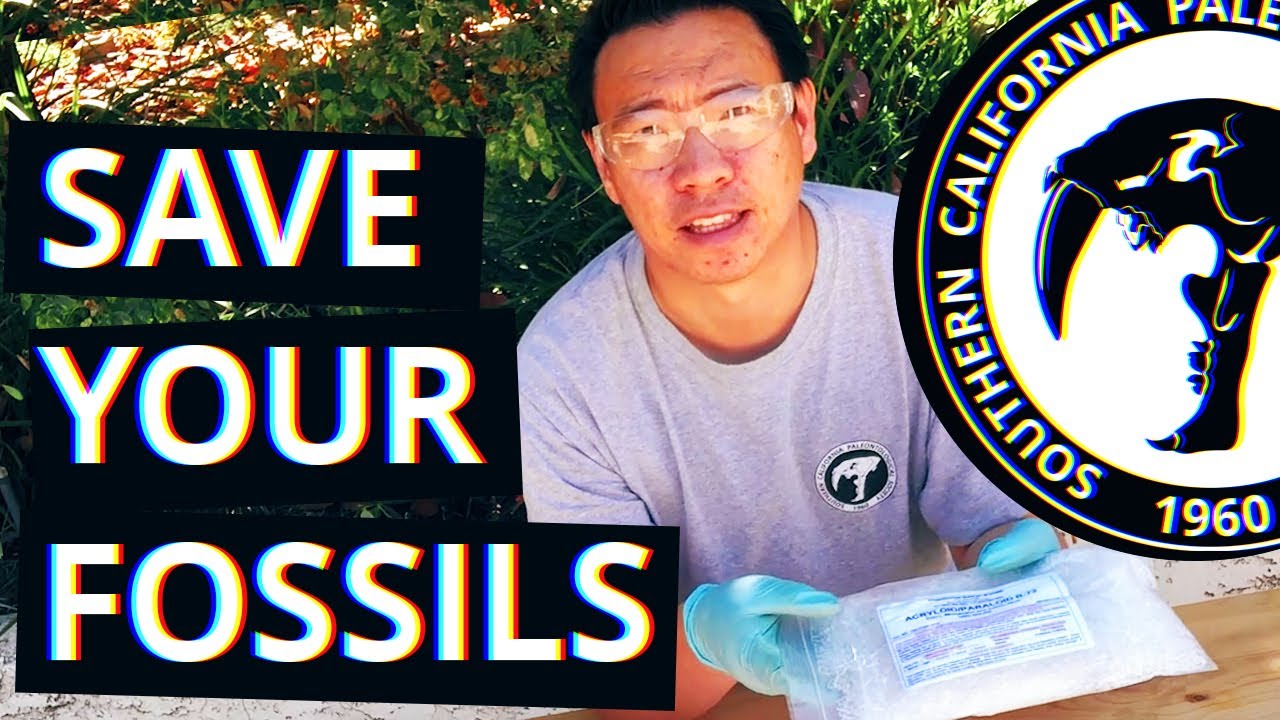 Preparing Your Fossils: Episode 1 of 4 | Using Acryloid/Paraloid B72 ...