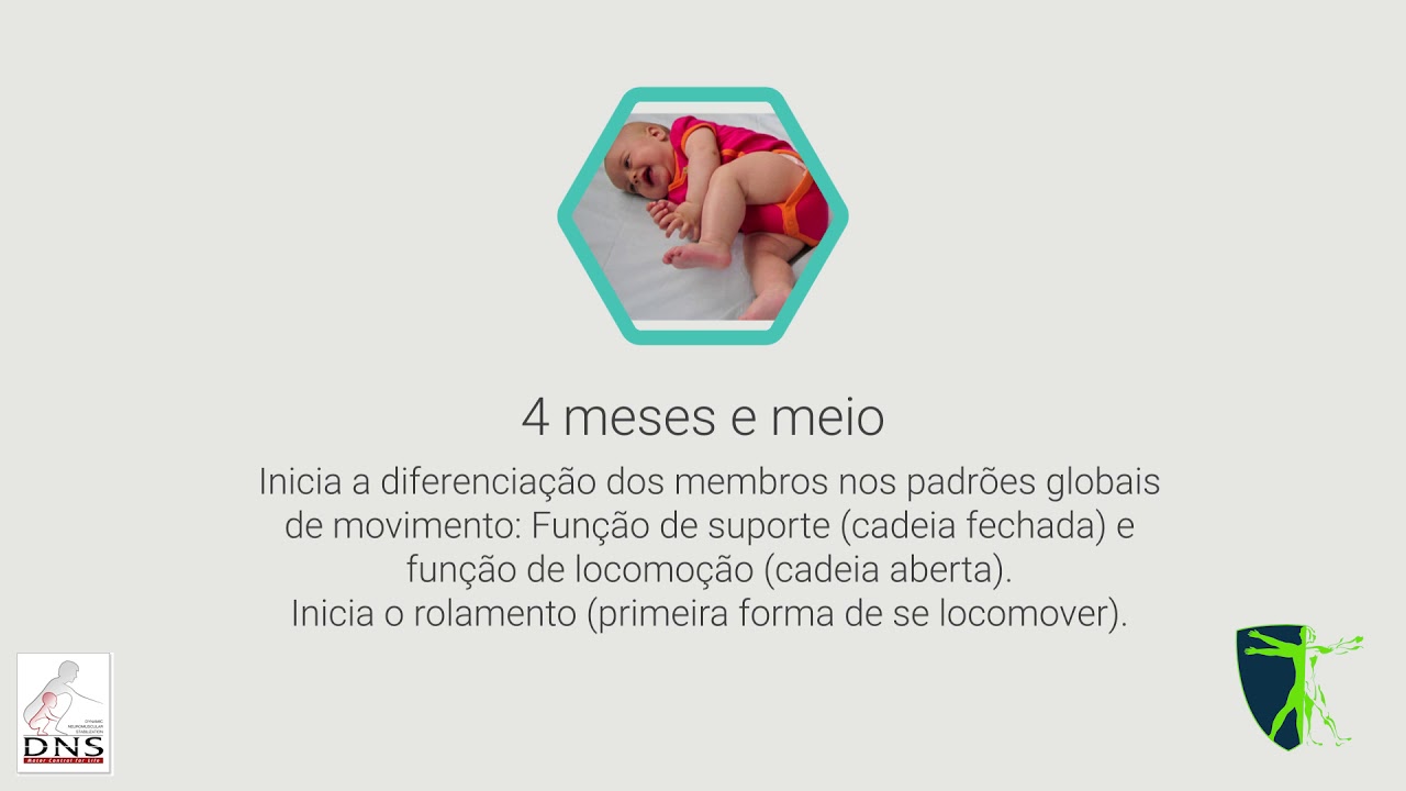 DNS - Dynamic Neuromuscular Stabilization - YouTube