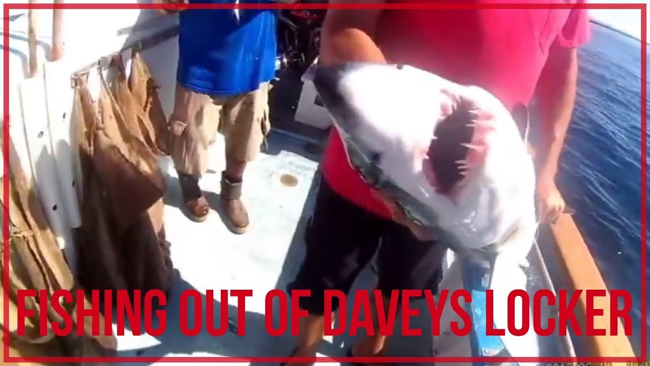 Fishing Out Of Daveys Locker Newport Beach & Dana Point's Dana Wharf ...