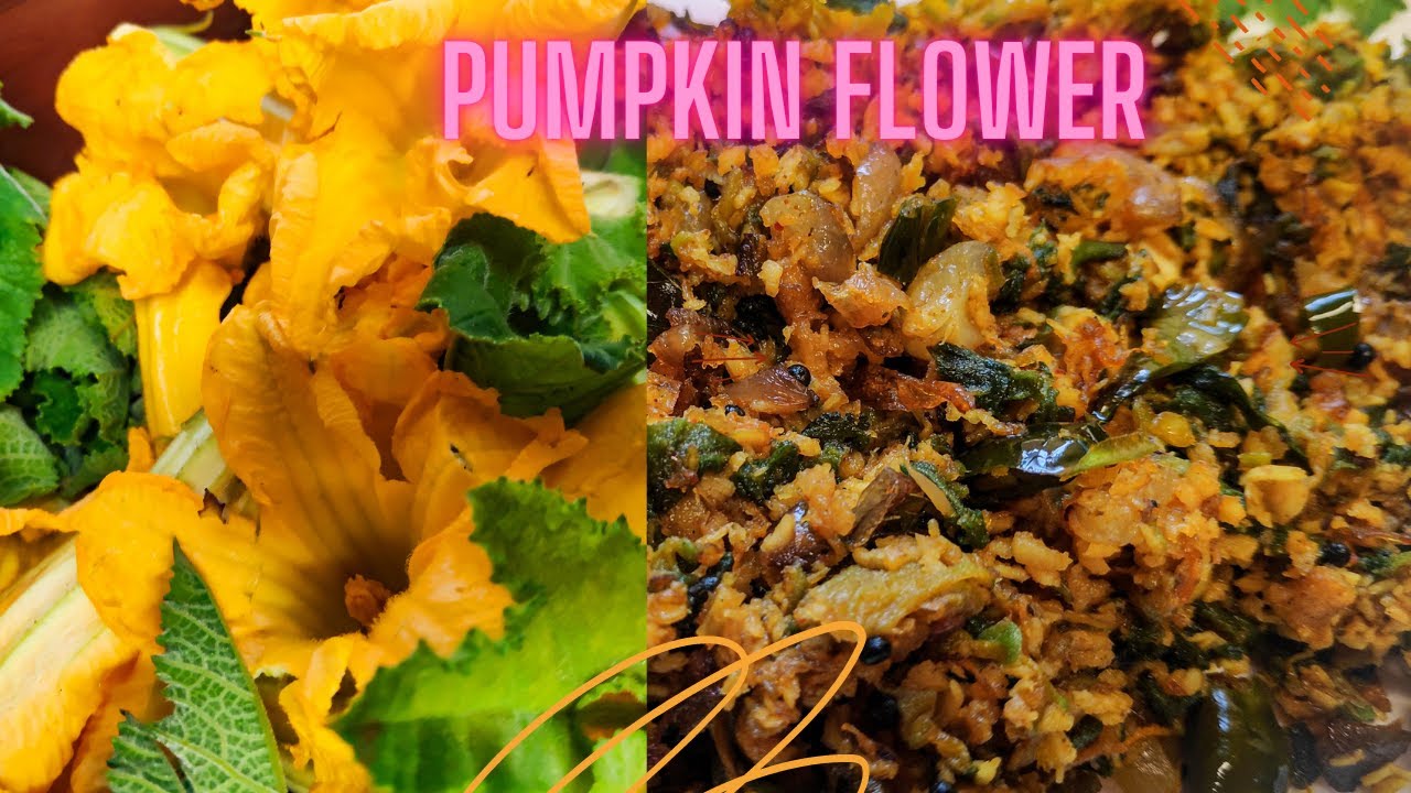 Pumpkin Flower Simple Recipe|Very Tasty Pumpkin Flower Recipe|#4 - YouTube