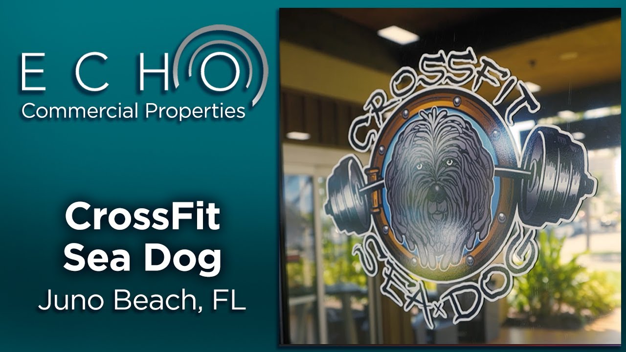 Local Waves: CrossFit Sea Dog - YouTube
