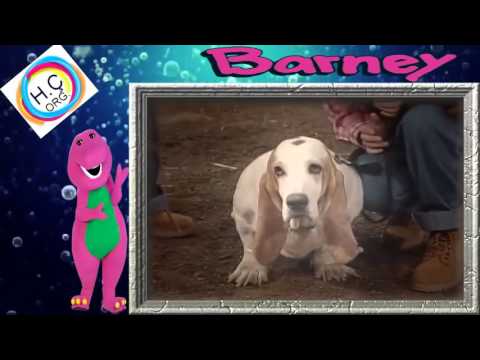 Sing Dance Barney