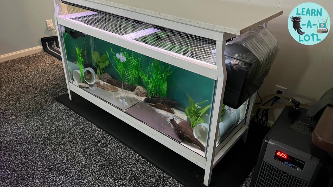 Big Tank Tour Part 1 - YouTube