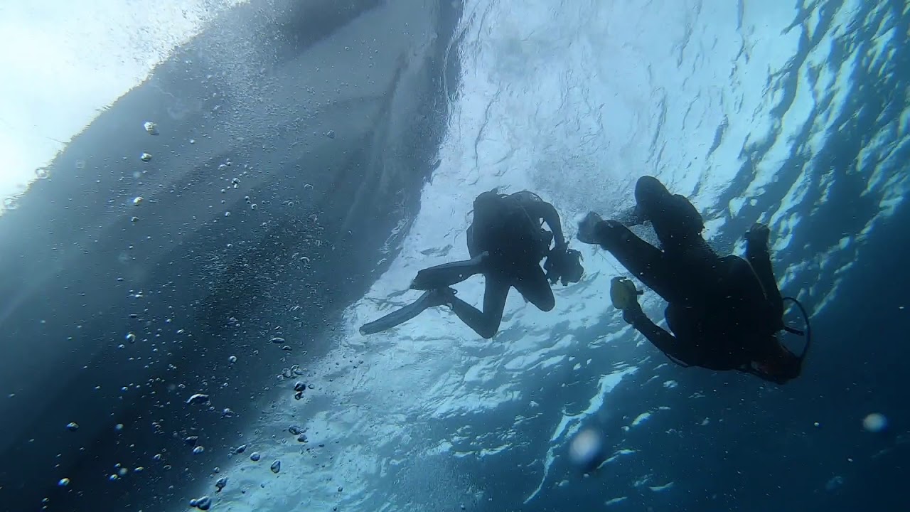 MY African Dive Adventures - YouTube