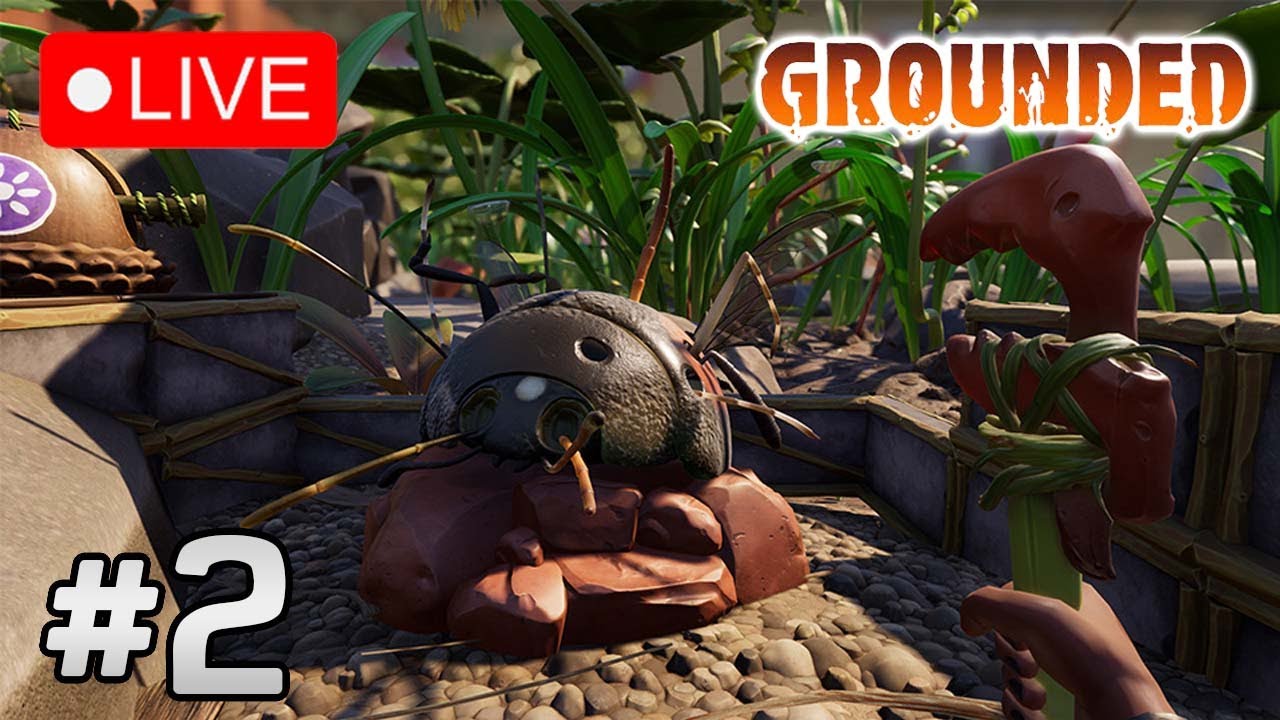 🔴 [LIVE] Grounded #2 ย้ายบ้านทำบ้านใหม่ - YouTube