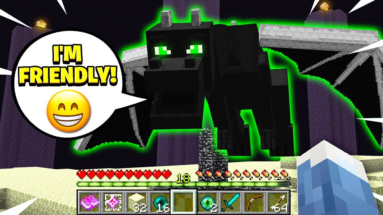 FINDING THE *FRIENDLY* ENDERDRAGON IN MINECRAFT! - YouTube