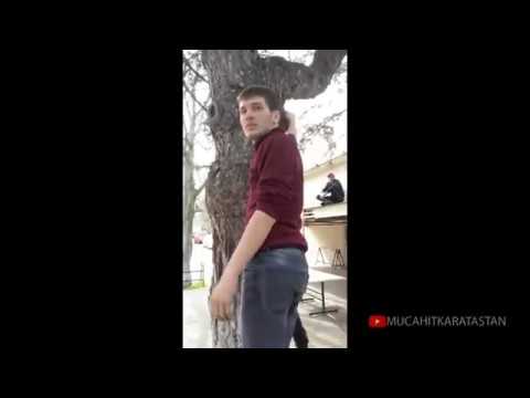 Meslek Liseli Okul İçindeki Ağaca Tırmanırsa!!!