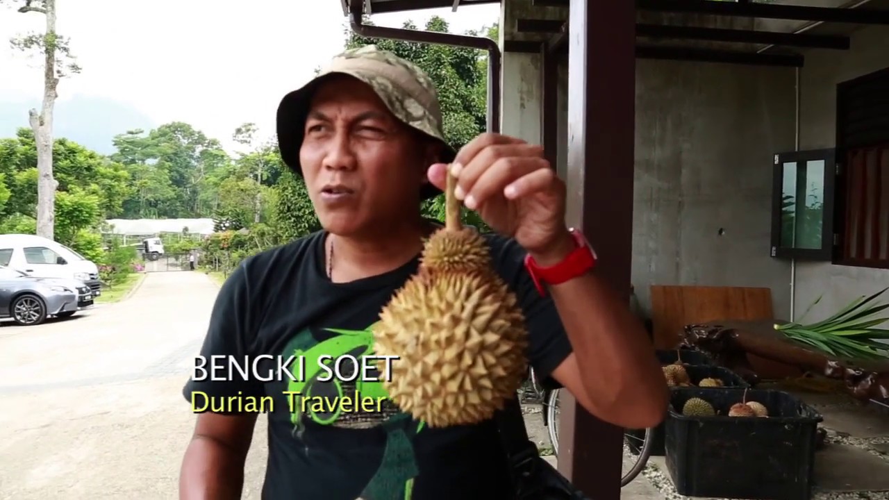 DURIAN D-88, TRIP TO MALAYSIA#2 - YouTube