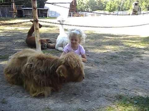 Mini zoo Bojna - YouTube