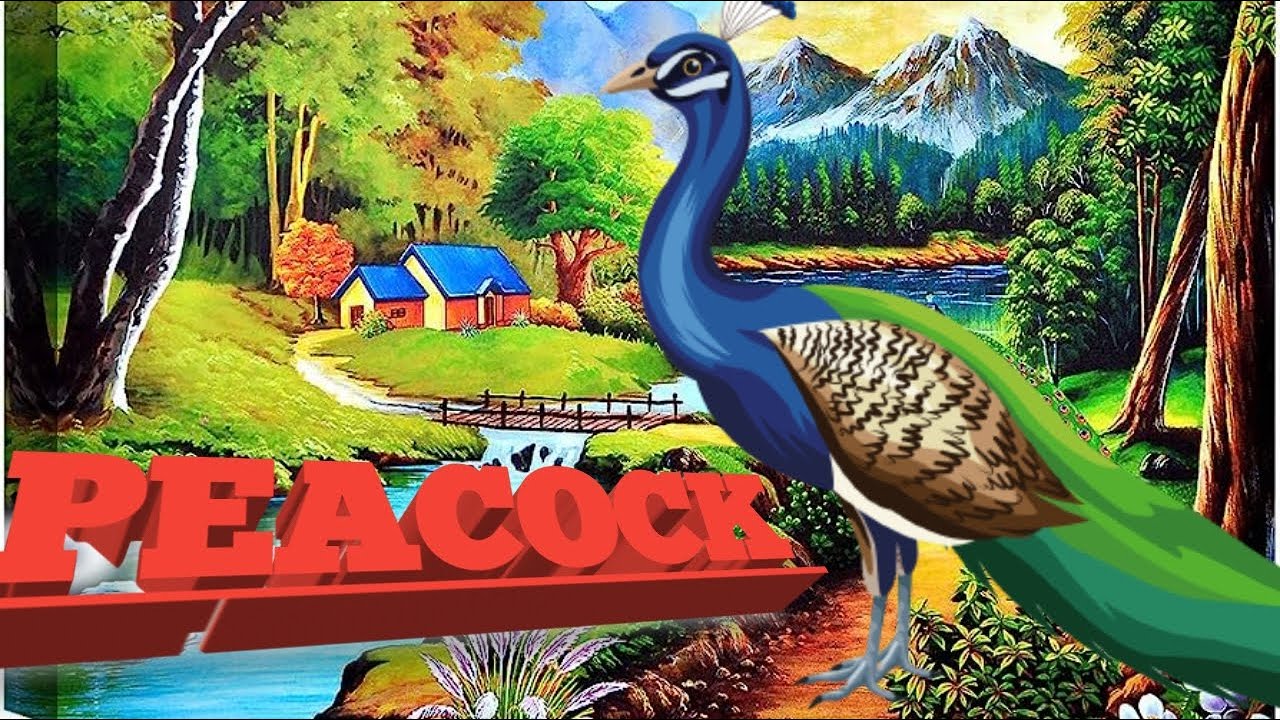 P for peacock |A For Apple | B for ball c for Cat. P for peacock| ABCD ...