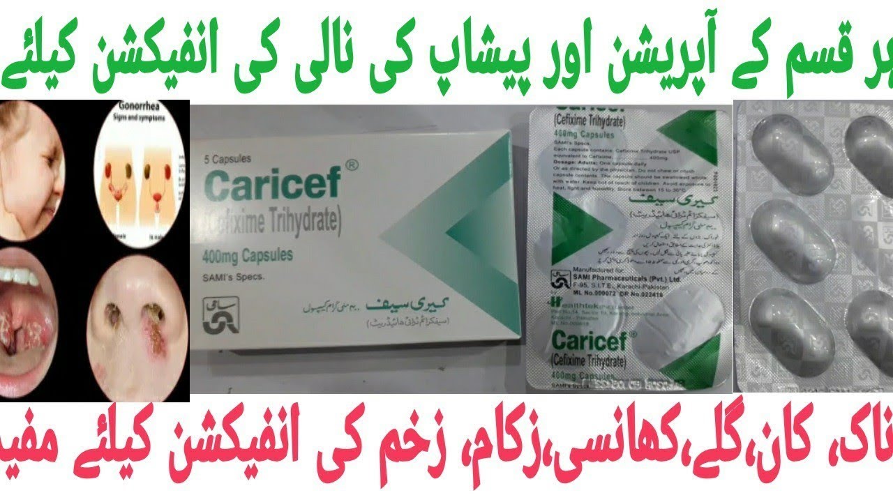 Caricef 400mg cap uses - YouTube