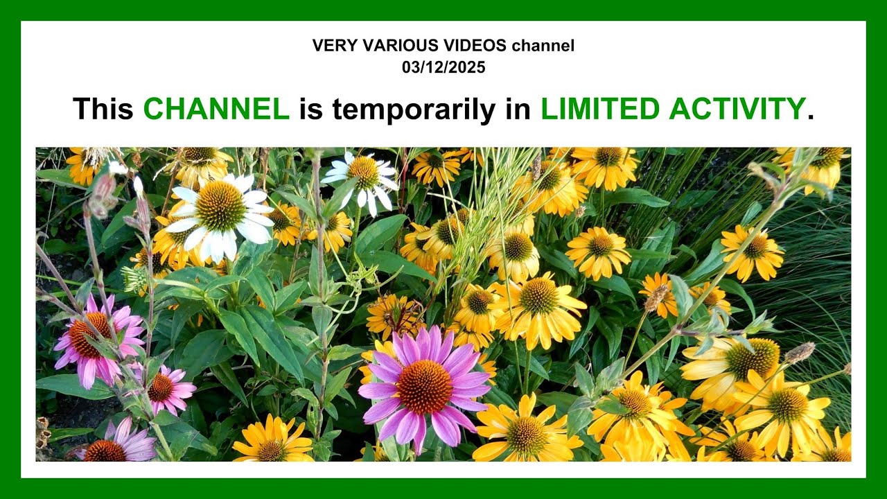 000892 - This CHANNEL is temporarily in LIMITED ACTIVITY. - YouTube