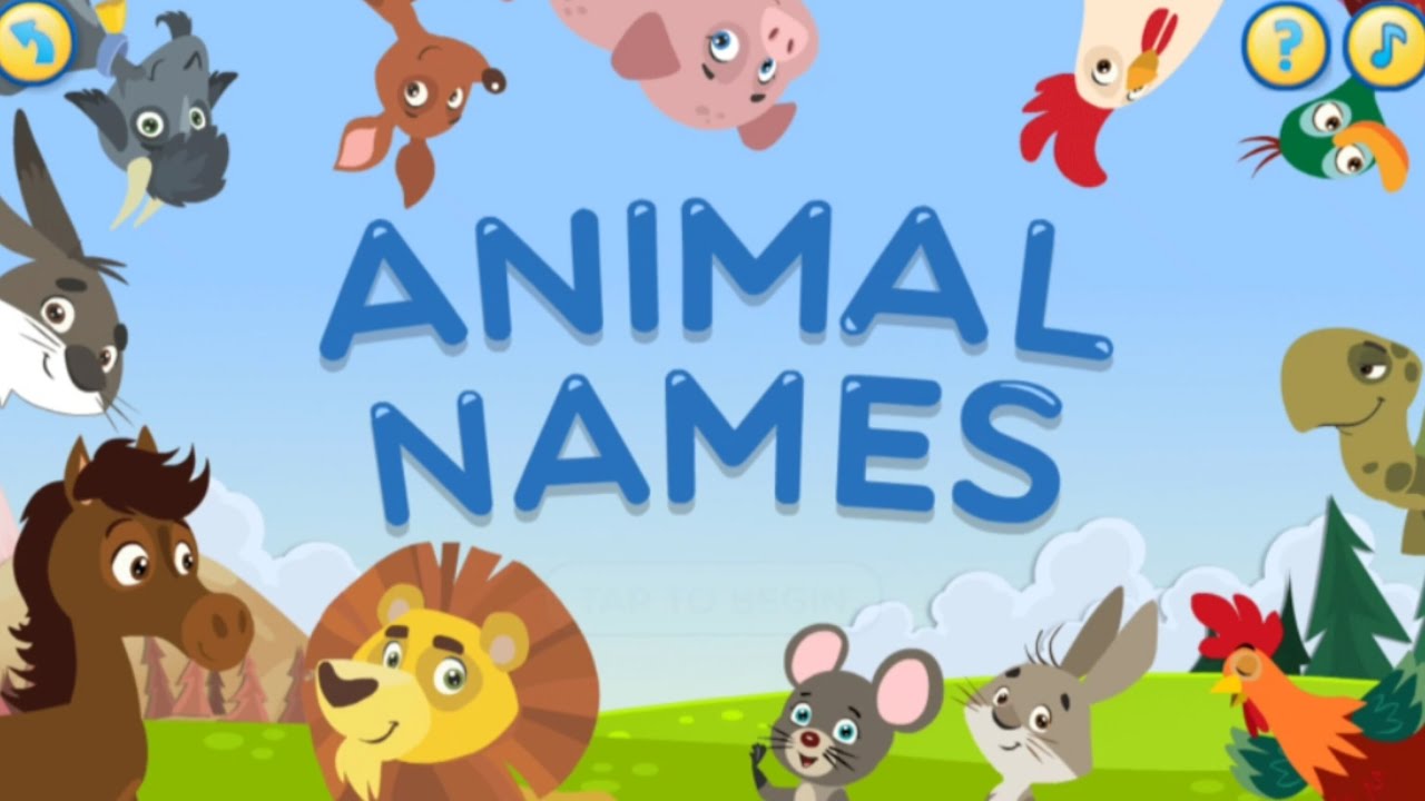 Kangi Club - English For Kids! Animal names, educational game - YouTube
