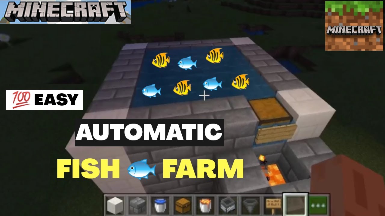 How to make AUTOMATIC FISH 🐠 FARM in an Easy Way… - YouTube
