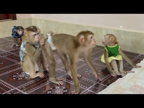 OMG!! WHAT IS BROTHER SOVAN TRYING TO CHECK ON SISTER SOVANNY? - YouTube