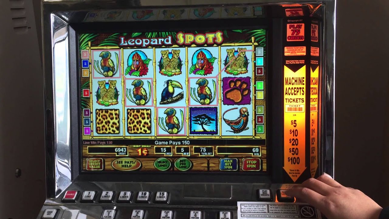 IGT LEOPARD SPOTS VIDEO SLOT - YouTube