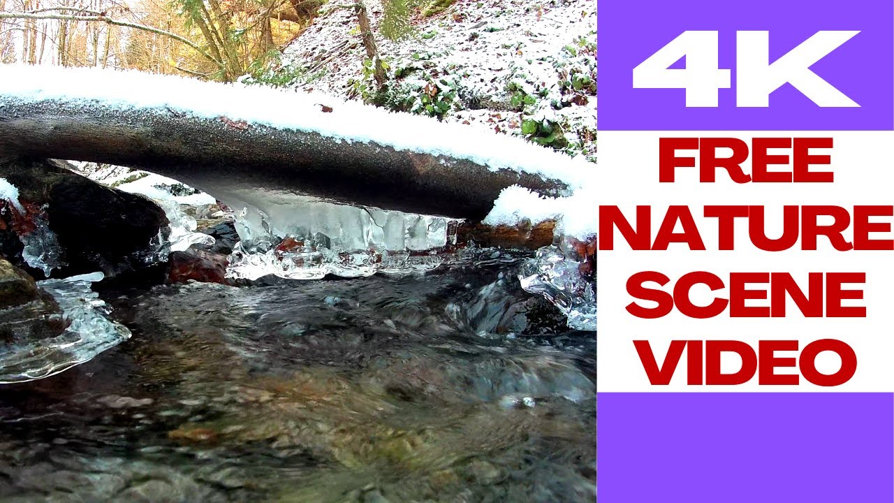nature 4K 057 👉 Nature Scene Video - YouTube