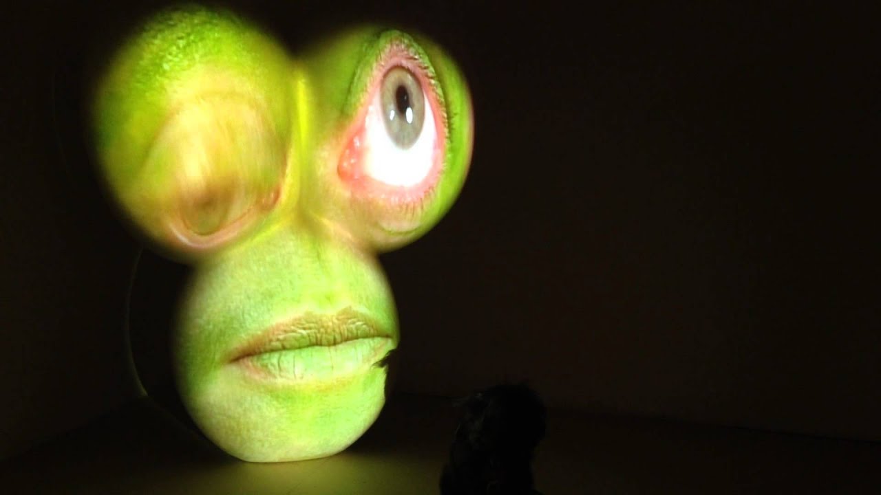 Monkey enjoys "Coo" - YouTube