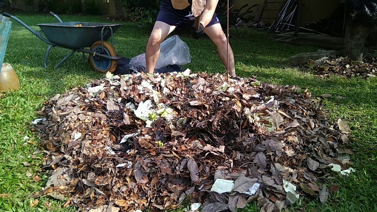 Composting municipal collected leaves and cabbage leaf discards - YouTube