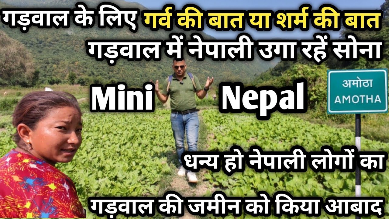 Mini Nepal In Uttrakhand |नेपाली उगा रहे हैं सोना गड़वाल की बंजर भूमी ...