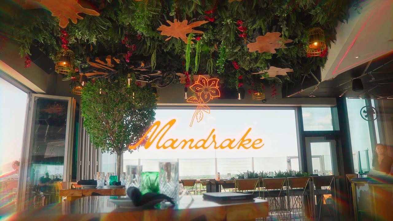 Mandrake Rooftop – Brand Video - YouTube