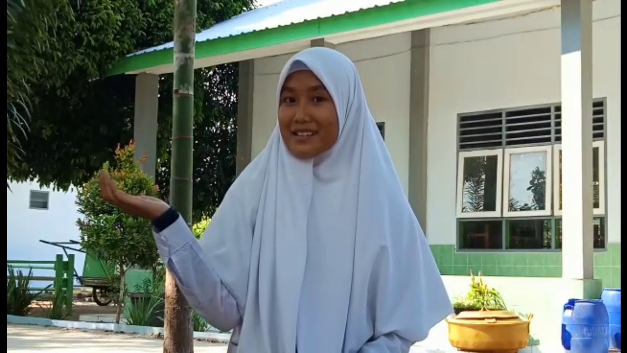 Sistem Pernapasan Kelompok 3 SMA N 1 Sei Rampah - YouTube